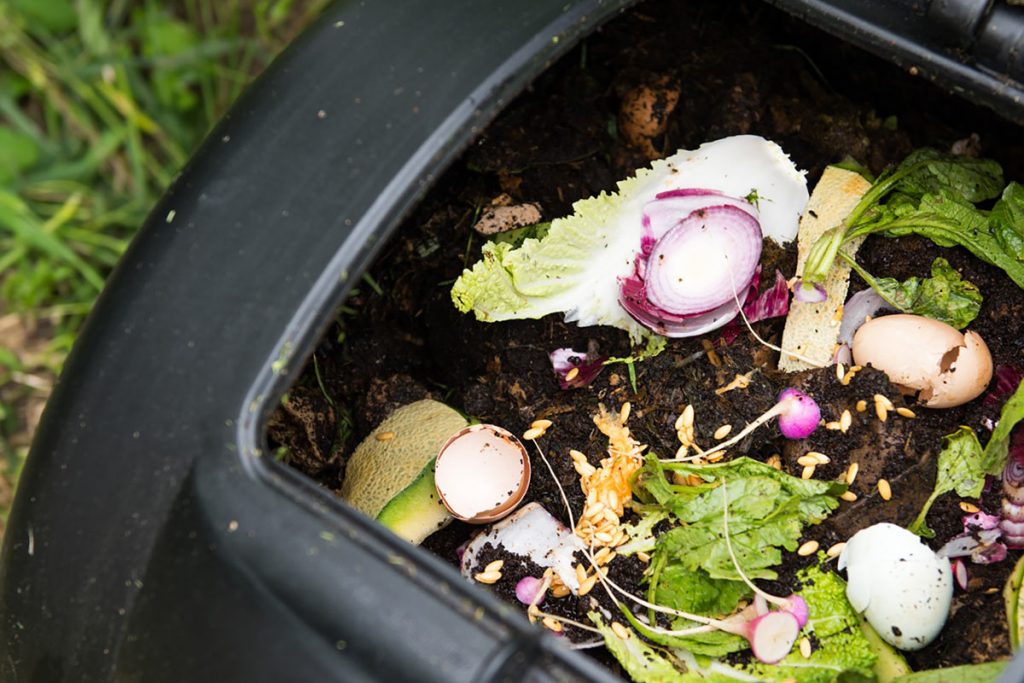 Rubbish Removal Project: A Cool School Experiment With Composting ...
